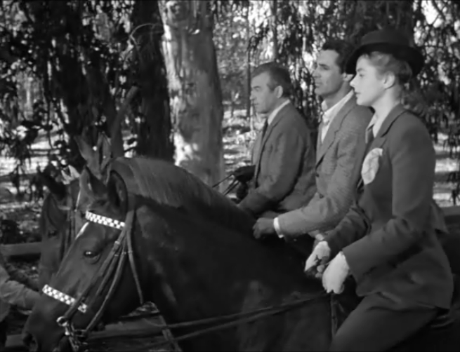 Picture of Notorious