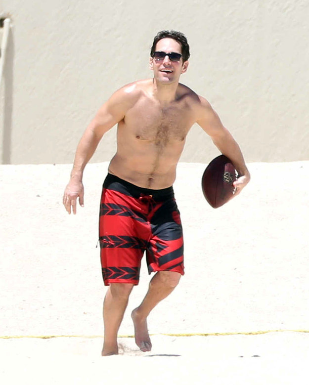 Picture of Paul Rudd