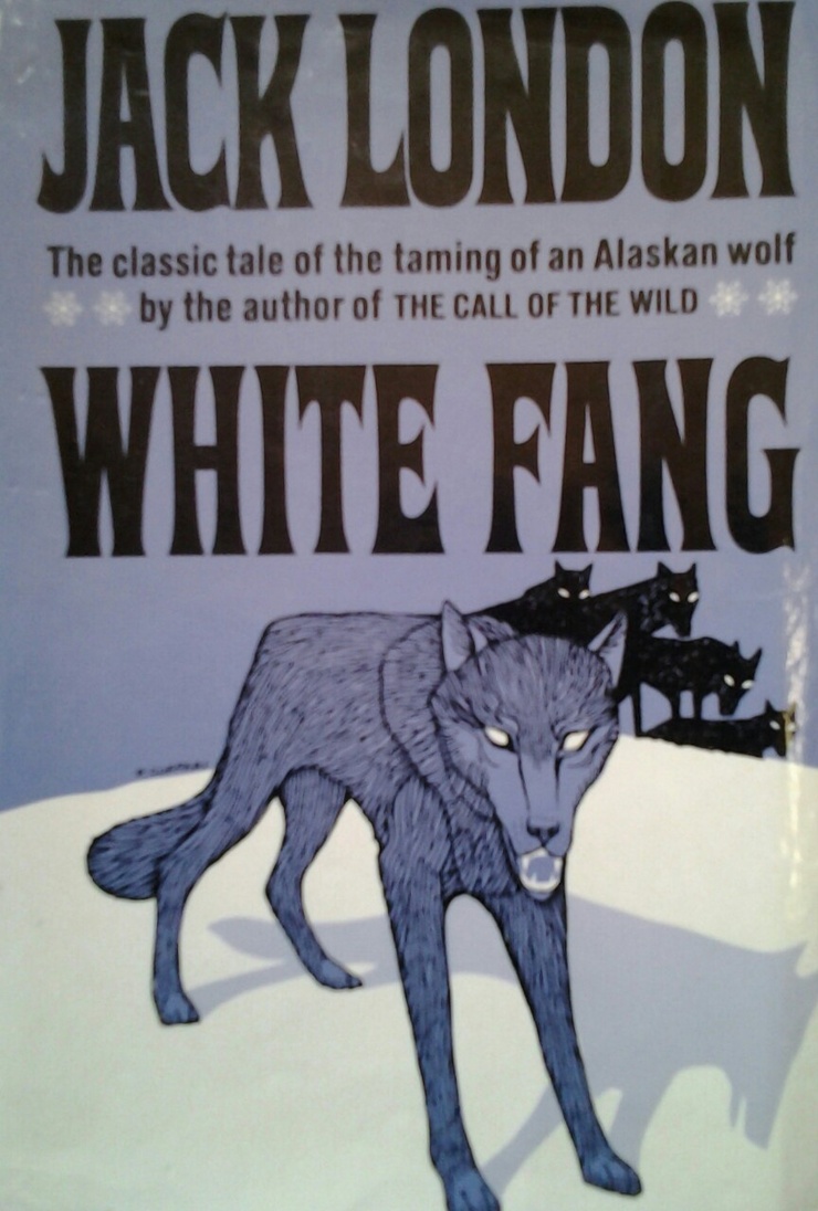 Picture of White Fang