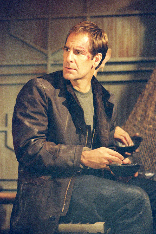 Scott Bakula image