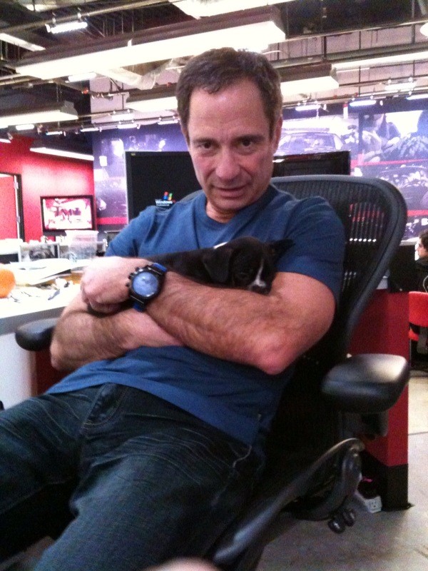 Picture of Harvey Levin