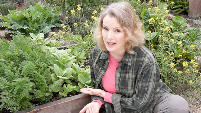 Picture of Kaye Kittrell