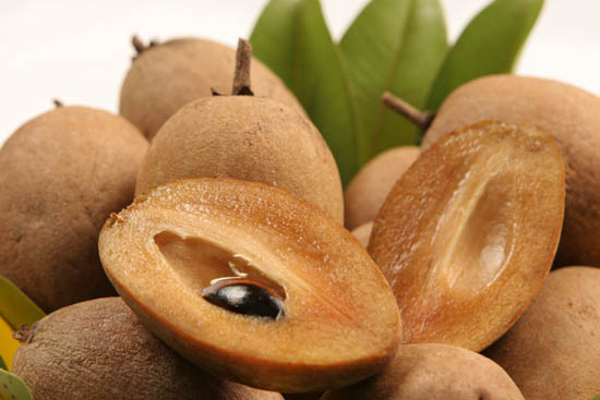 Picture of Sapodilla
