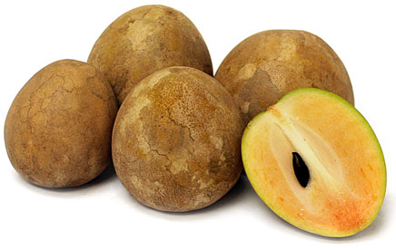 Picture of Sapodilla
