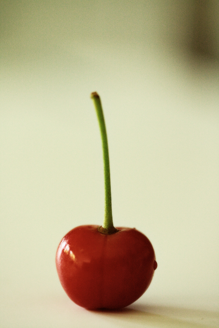 Picture of Sour Cherry