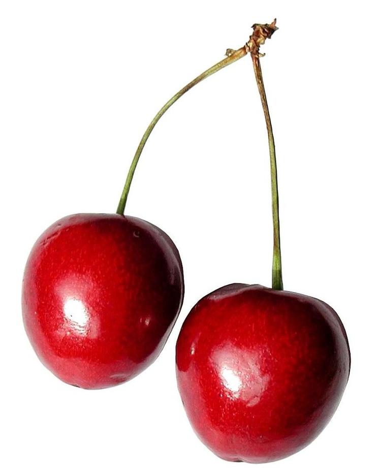 Picture of Sour Cherry