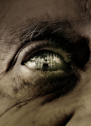 The Skeleton Key picture