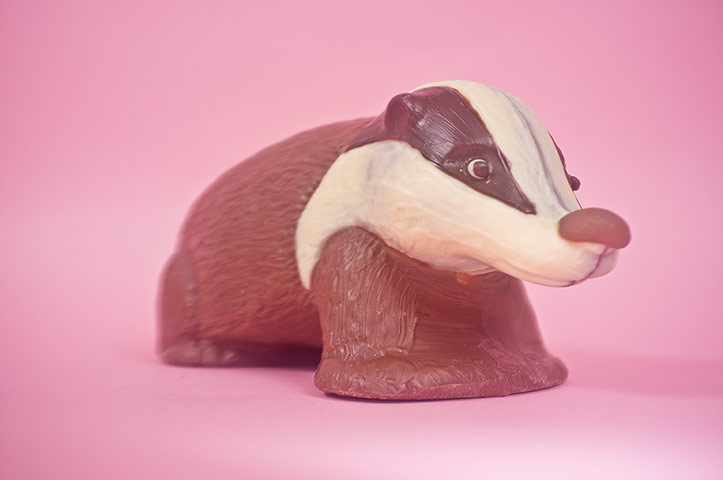 Chocolate Badger