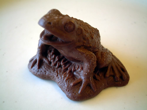 Chocolate Toad