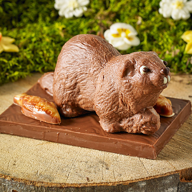 Milk Chocolate Beaver