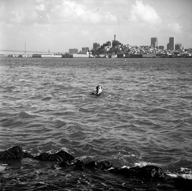 Picture of Point Blank