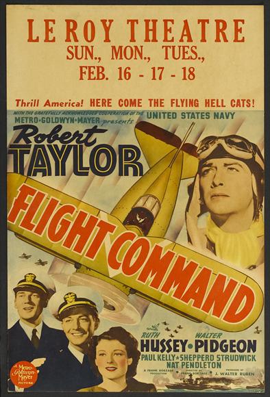 Picture of Flight Command