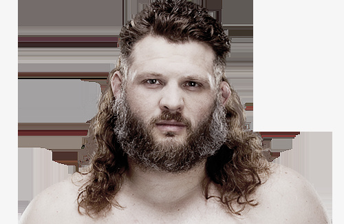 Roy Nelson picture