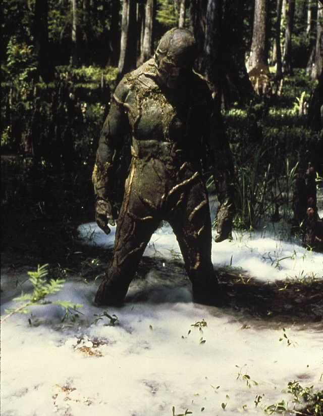 Picture of Swamp Thing