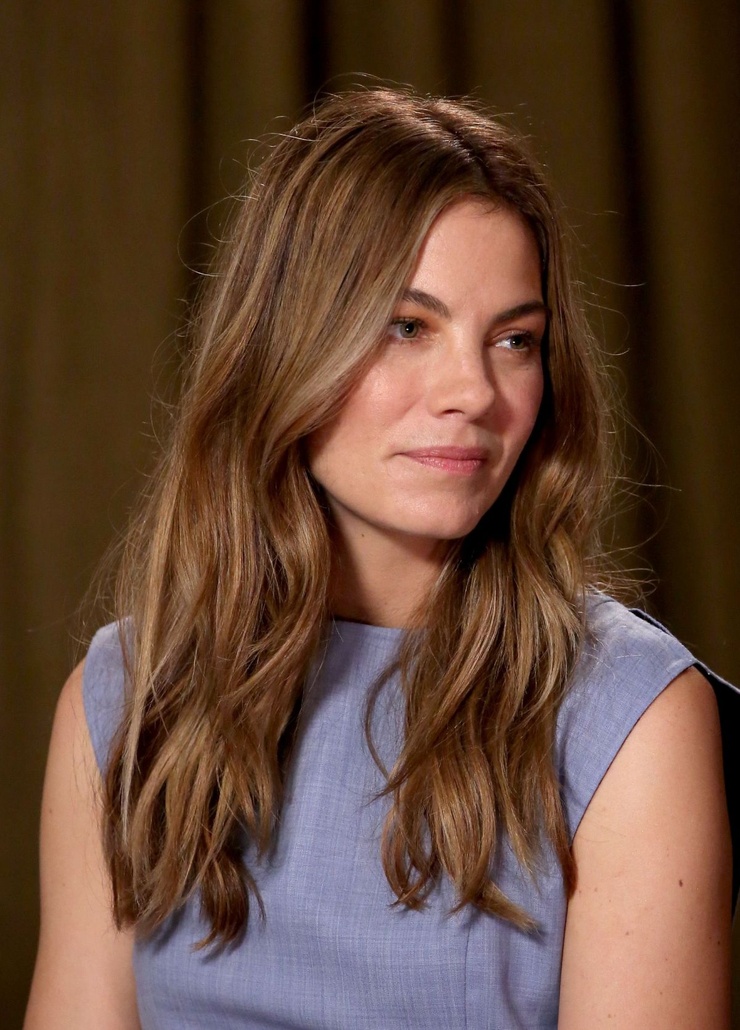 Picture of Michelle Monaghan