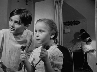 Picture of Bellissima