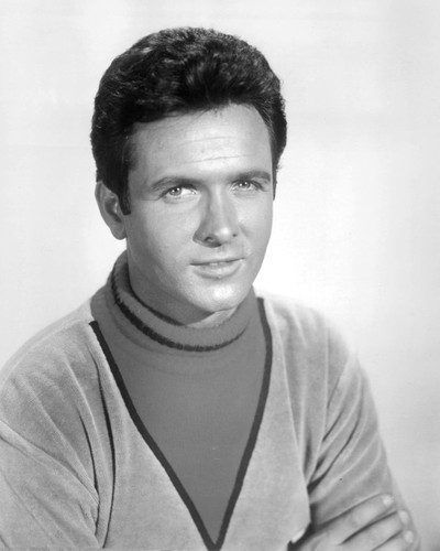 Mark Goddard picture
