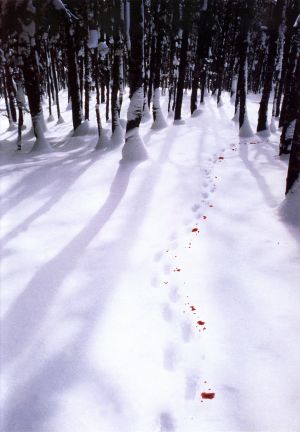 Picture of Affliction