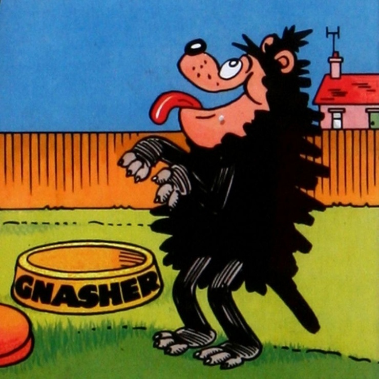 Picture of Gnasher