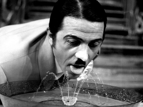 Bora Todorovic picture