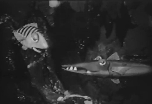 Picture of Diver Dan