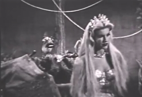 Picture of Diver Dan