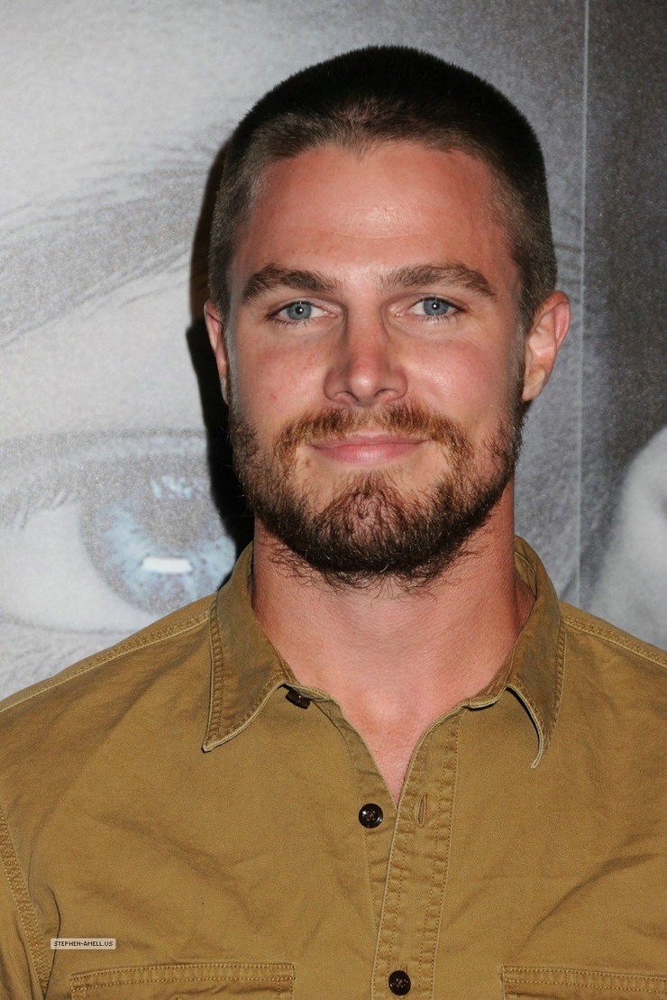 Picture of Stephen Amell