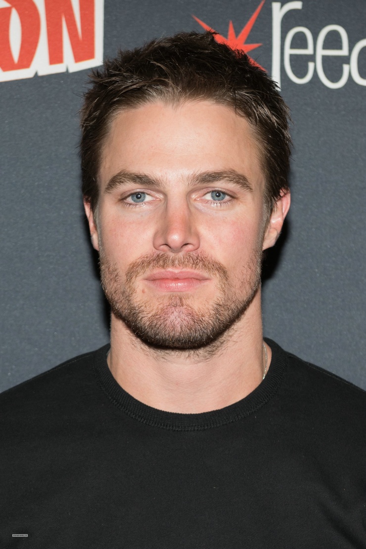 Picture of Stephen Amell