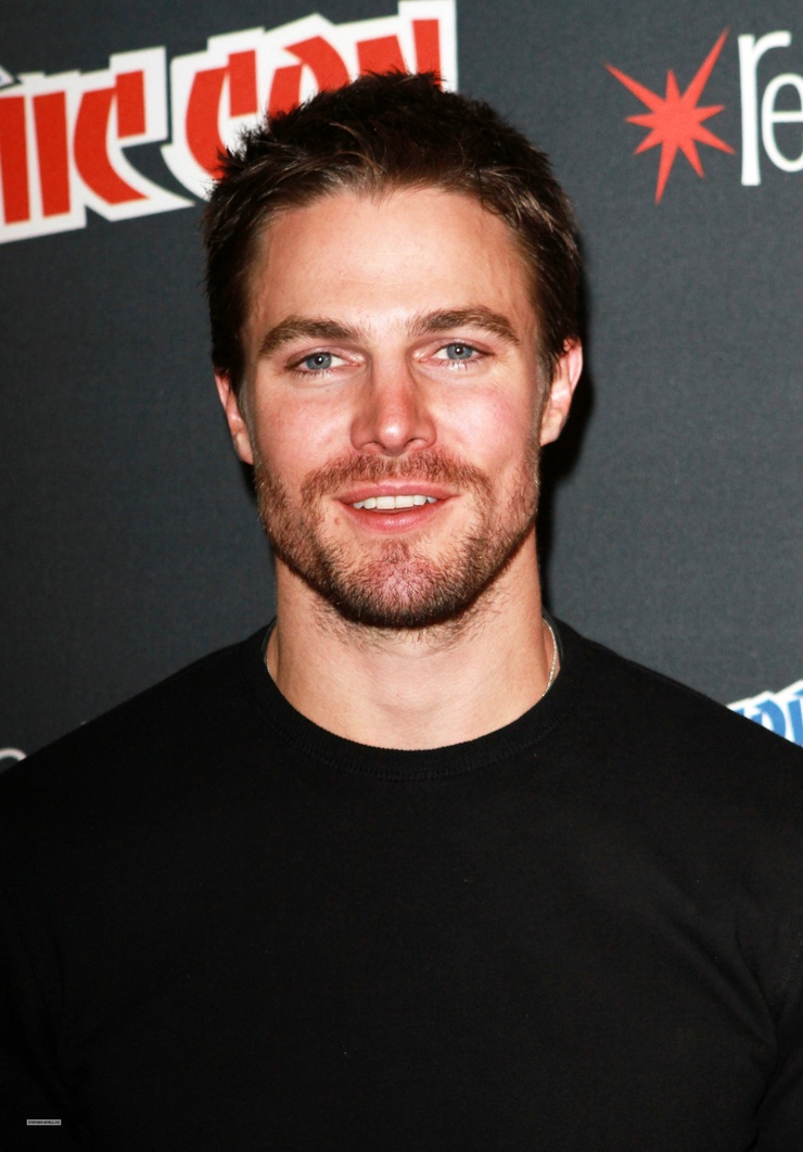 Picture of Stephen Amell