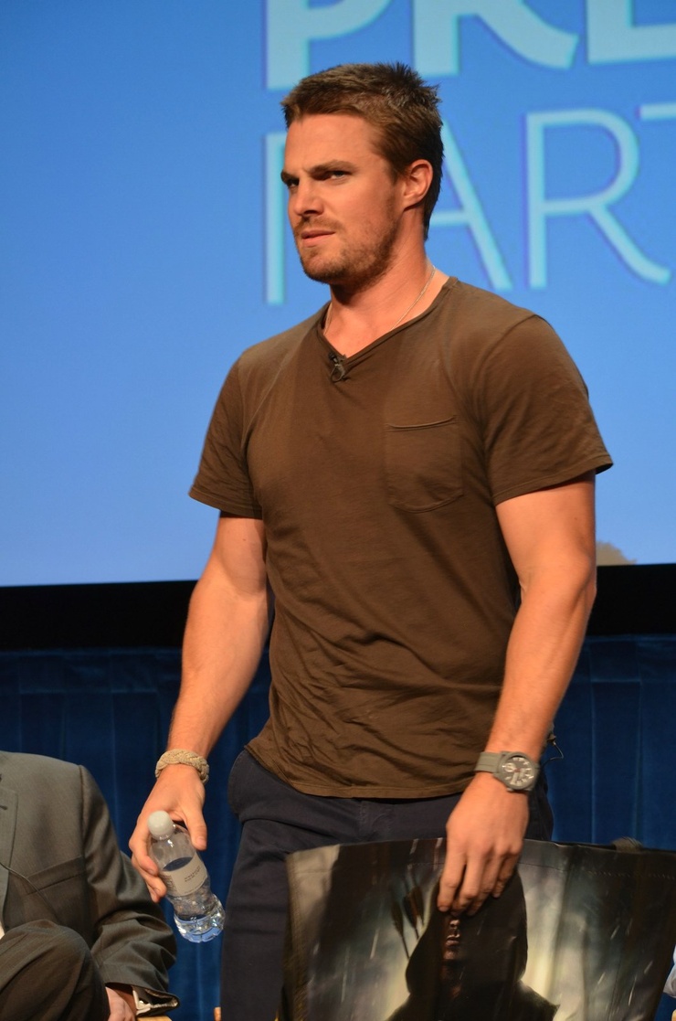 Picture of Stephen Amell