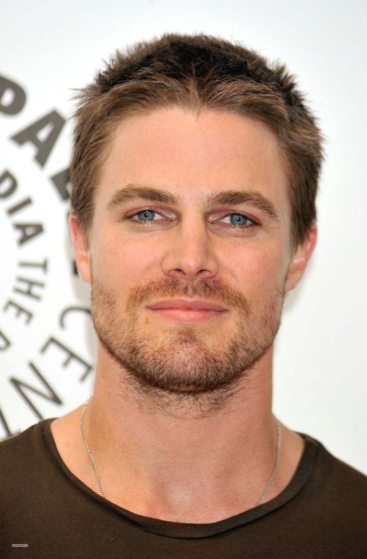 Picture of Stephen Amell