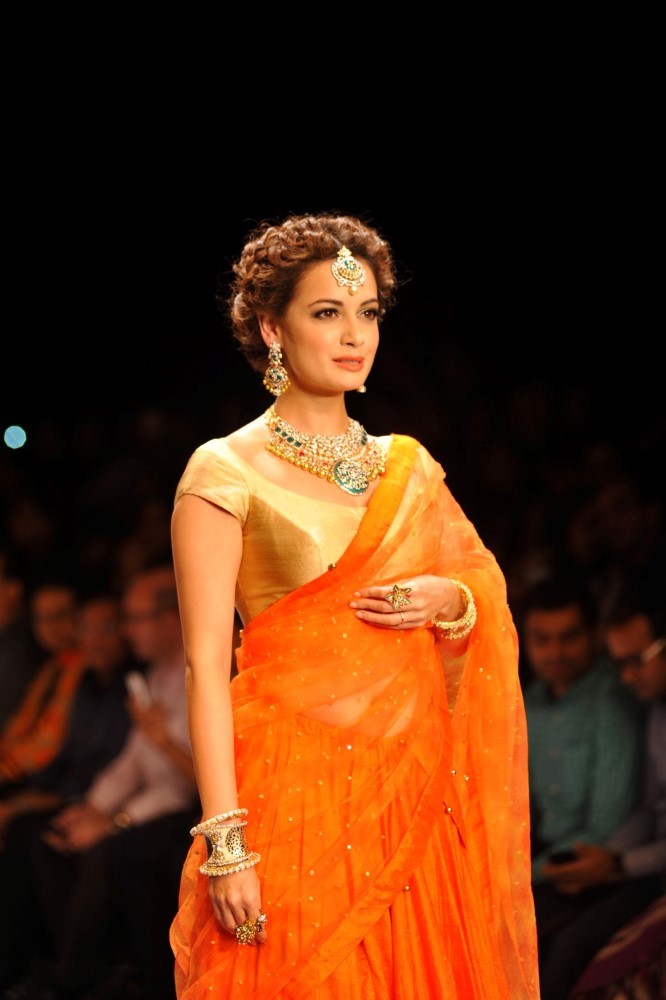 Picture of Diya Mirza
