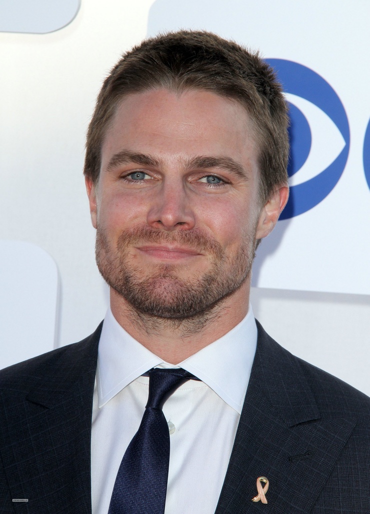 Picture of Stephen Amell
