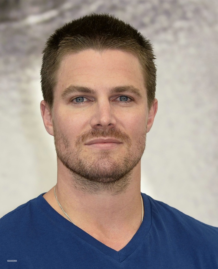 Picture of Stephen Amell
