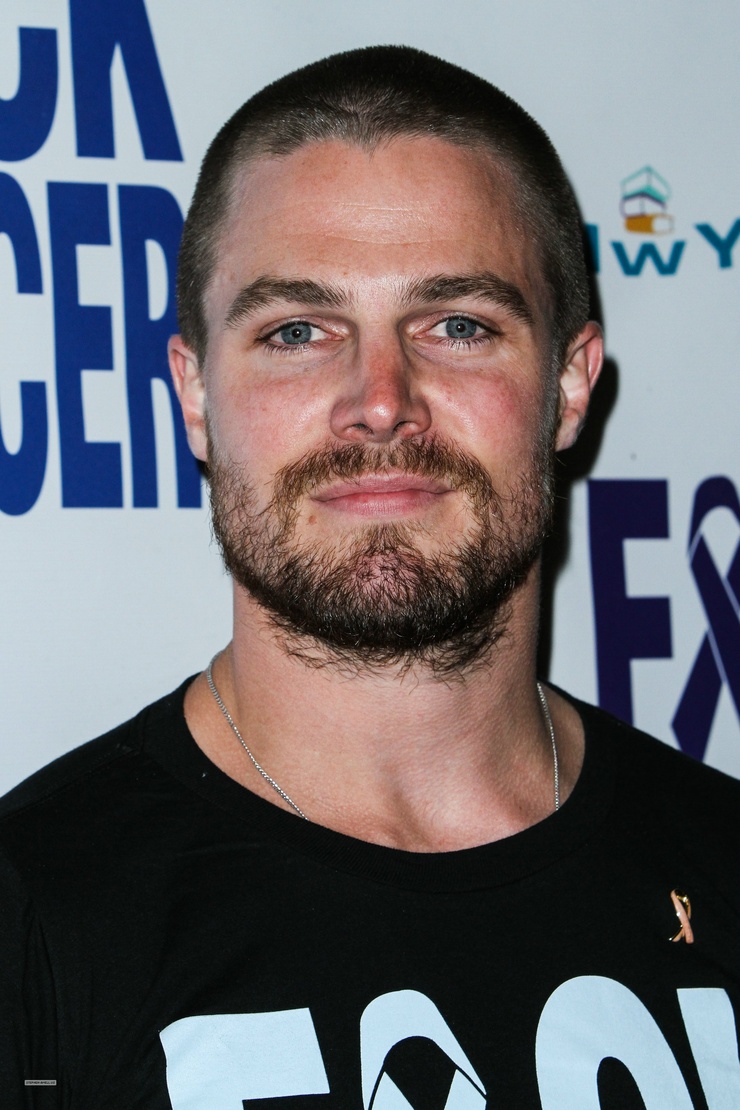 Picture of Stephen Amell