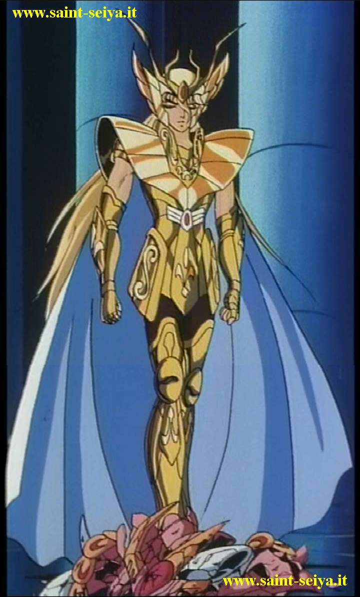 Image of Saint Seiya