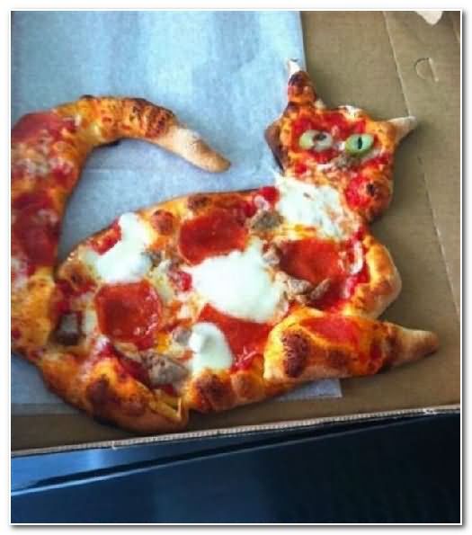 Pizza Cat