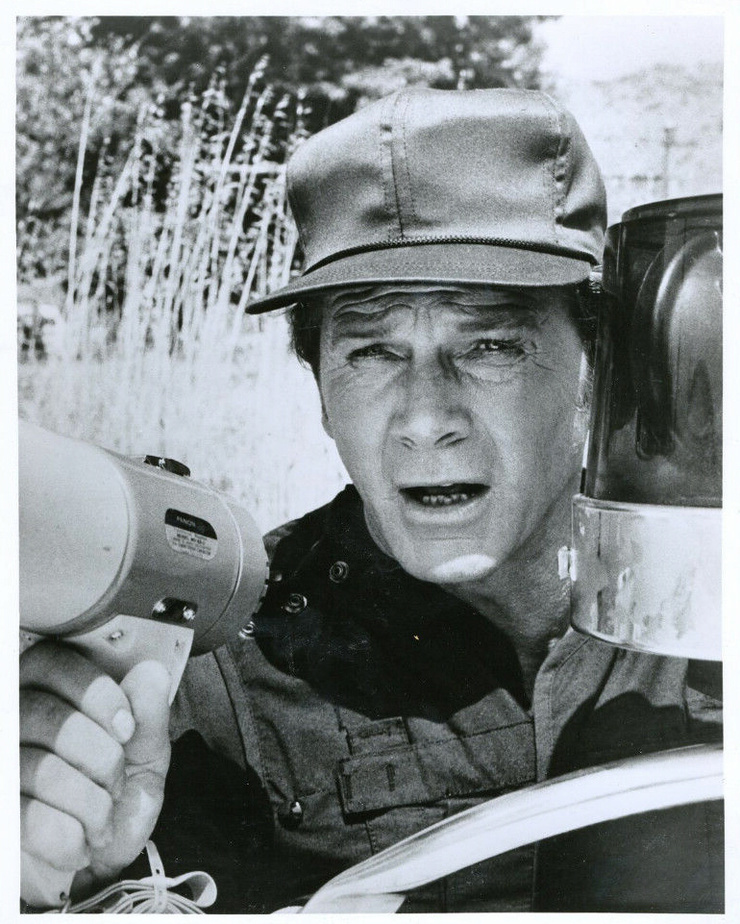 Steve Forrest picture