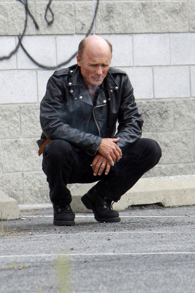 Picture of Ed Harris