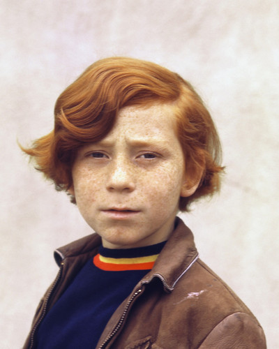 Image of Danny Bonaduce