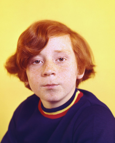 Danny Bonaduce picture