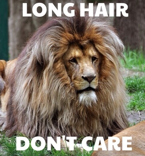 Animal Humor,; part 9; The Lions