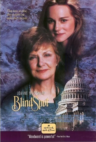 Picture of Blind Spot