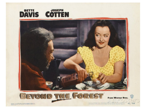 Picture of Beyond the Forest (1949)