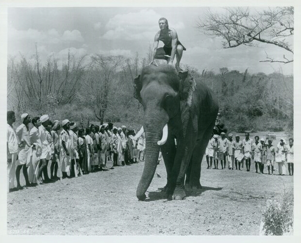 Tarzan Goes to India (1962) image