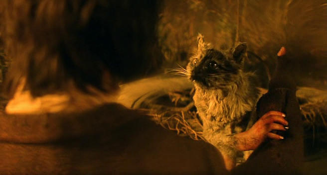 Picture of The Cat with Hands (2007)