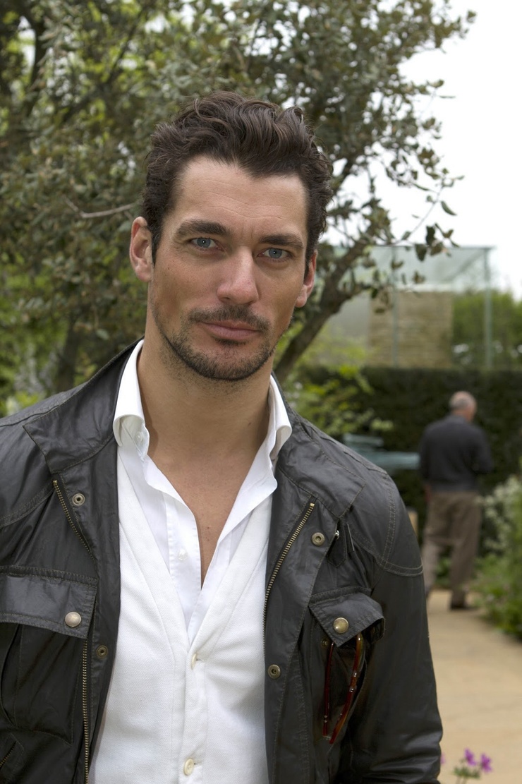Picture of David Gandy
