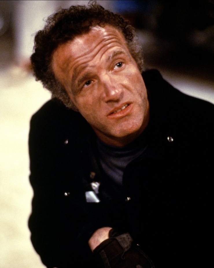 Picture of Thief