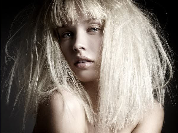 Picture of Lauren Brie Harding