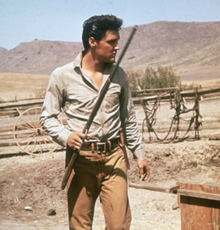 Picture of Flaming Star